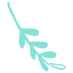 The Winking Prawn – Venues on the south coast of England